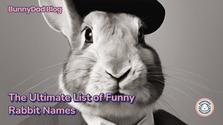 "The Ultimate List of Funny Rabbit Names" I GuineaDad