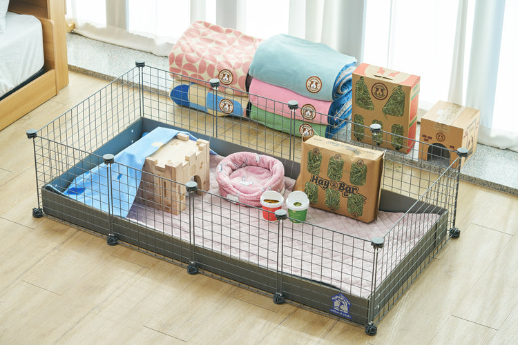 Premium Guinea Pig Cages & Habitats - Modular & Spacious | GuineaDad
