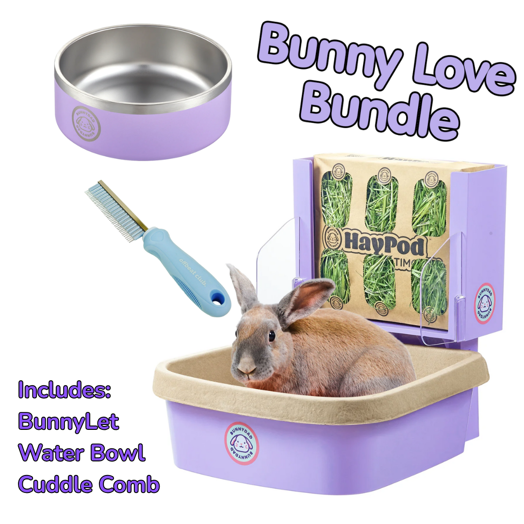 BunnyDad Bunny Love Bundle – GuineaDad