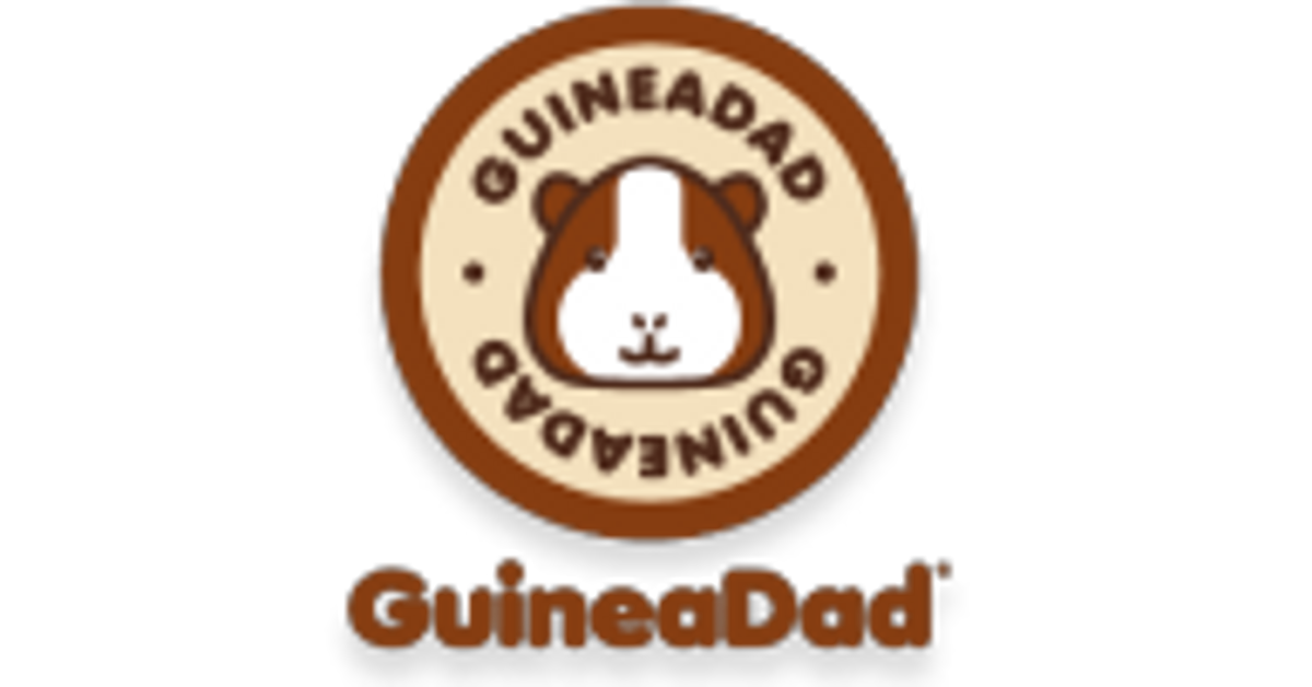 Guinea Pig Bedding - Best Guinea Pig Toys - Guinea Pig Hay - GuineaDad